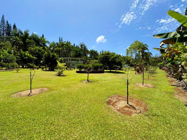 29 3707 kanna road, hakalau, us, hi
