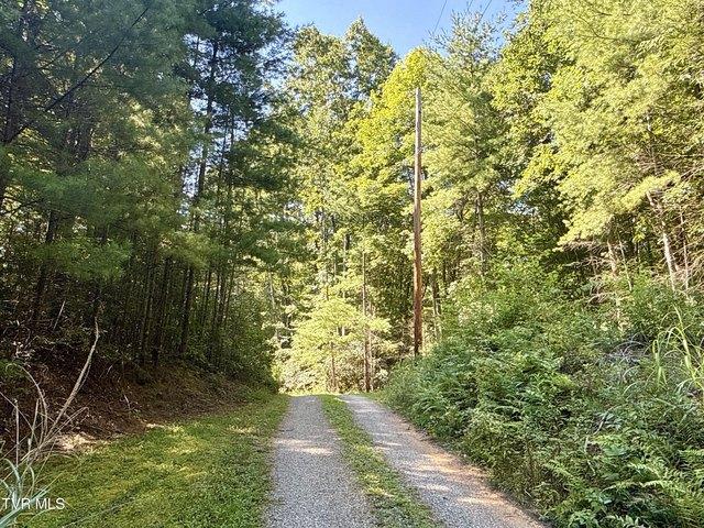 29.38 Acre Bull Mtn Rd # Off, Del Rio, TN 37727