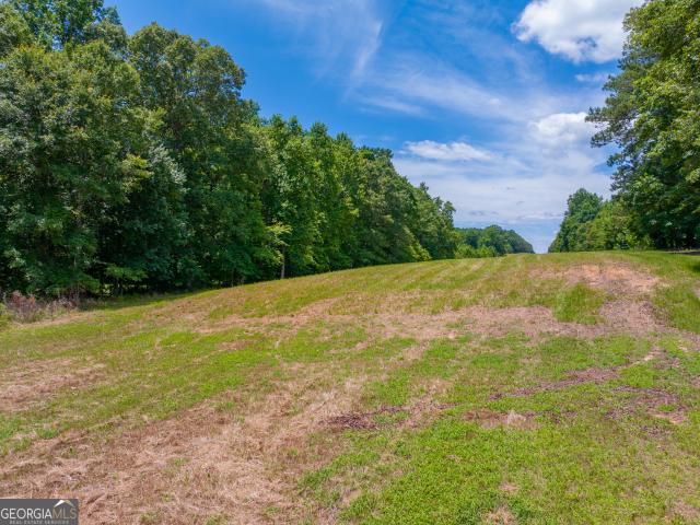 29.3 ACRES Cochran Road