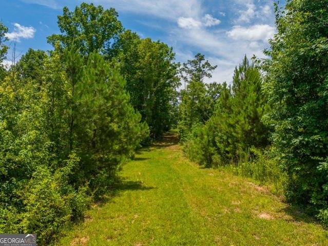 29.3 Acres Cochran Rd, Madison, GA 30650