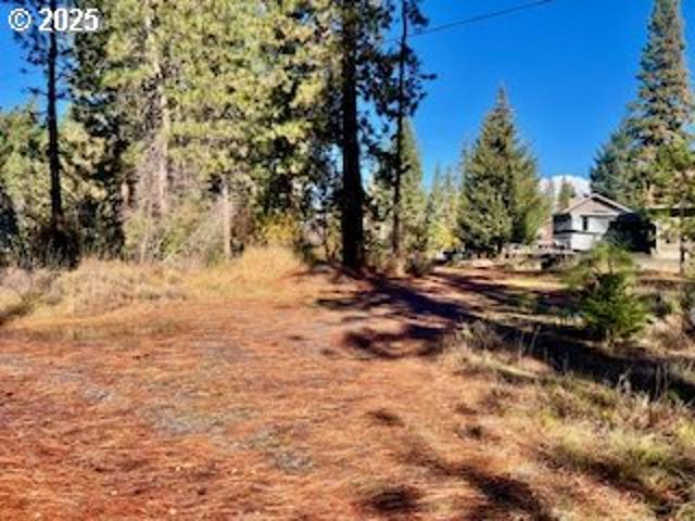 29 Trout Lake Park Rd, Trout Lake, WA 98650 | MLS #135161 | Compass
