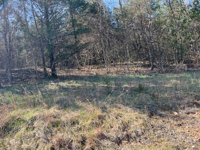 29 Wild Turkey Drive