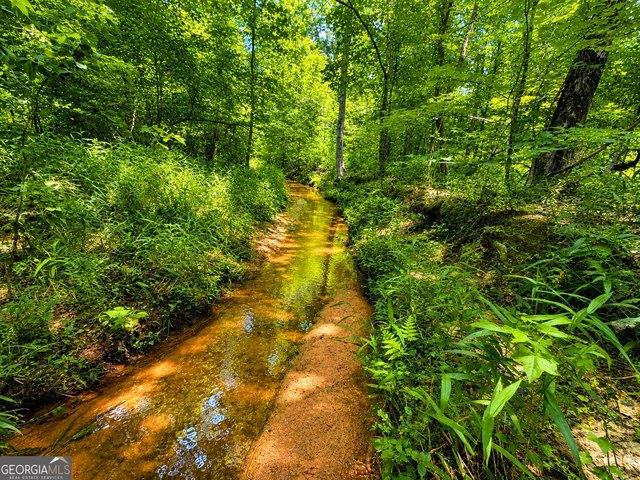 29 Acres Cochran Rd, Madison, GA 30650