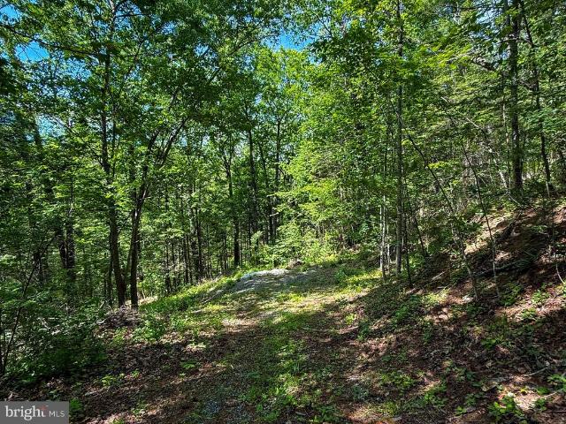 29 Bluff Trail