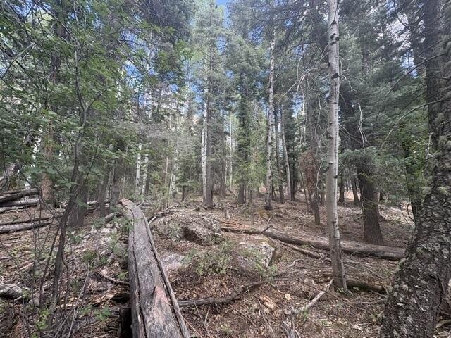 29 Brazos Lodge Ests, Chama, NM 87520