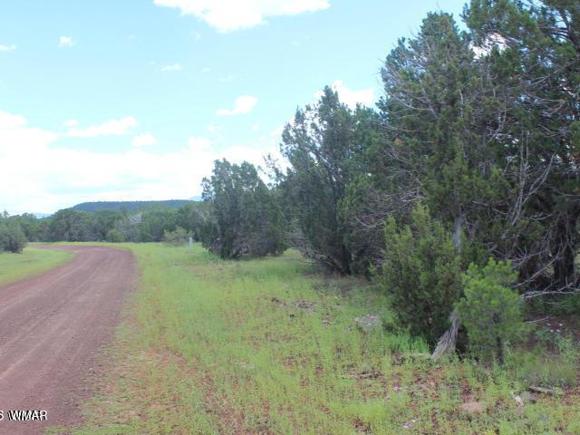 29 Co Rd, Show Low, AZ 85901 | MLS #259450