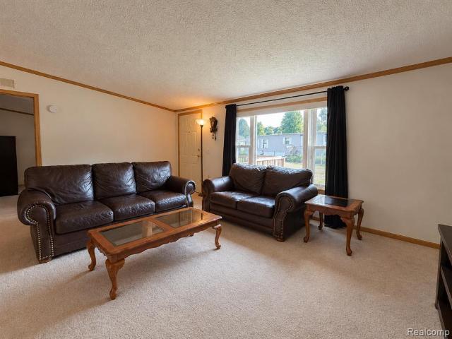 29 Dusty Trail