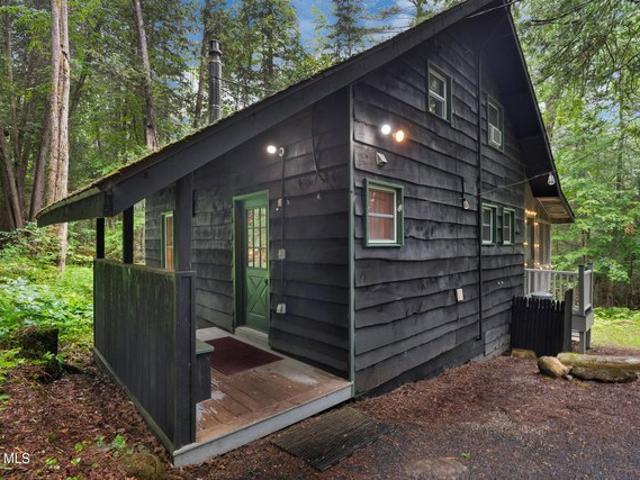 29 Fennessey Ln, Newcomb, NY 12852
