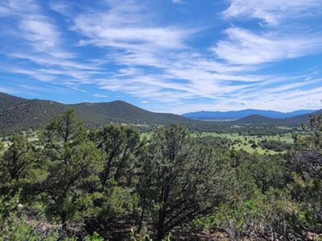 29 McMurtrie, CO 81223