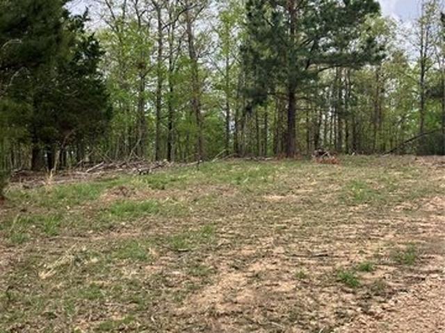 29 Madison County Road 410, Fredericktown, MO 63645