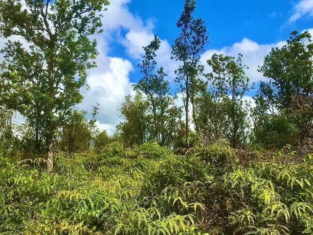 29 Omeka Rd, Mountain View, HI 96771 | MLS #669638