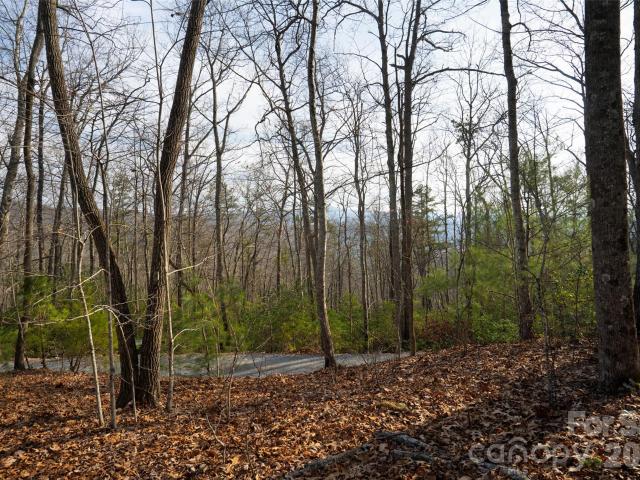 29 Open Ridge Trail