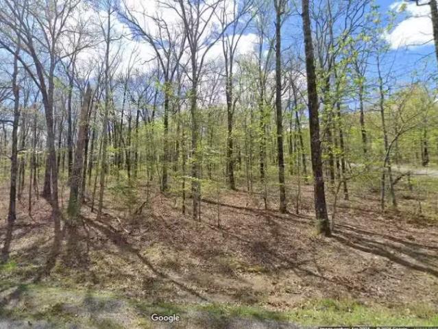 29 PLEASANT OAKS LOOP, EL PASO, AR 72045 Vacant Land For Sale.