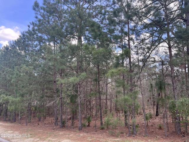 29 Ridgeland St, Pinehurst, NC 28374 | MLS #100564