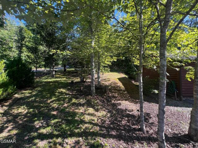 29 Scenic Woods Way