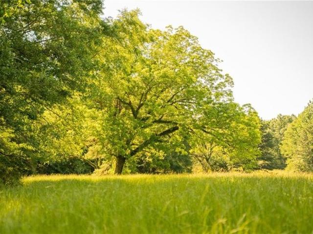 29 Sontag Nola Rd Lot 0, Sontag, MS 39665