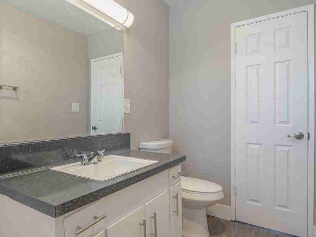 29Hundred Apartments 1 Bedroom Apartment for Rent at 2900 E Ramon Rd, Palm Springs, CA 92264