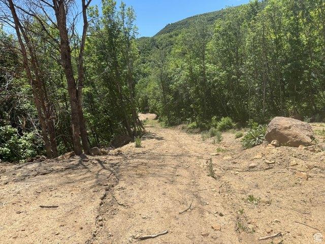 29L Birch Creek Dr Unit L29, Fairview, UT 84629