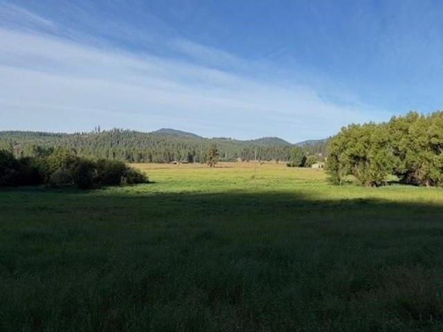 29XX Red Marble Rd, Chewelah, WA 99109