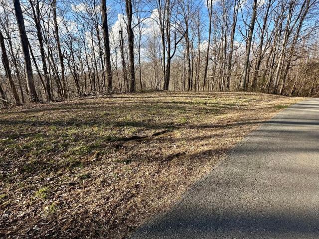 2 Malone Ridge Road # 2