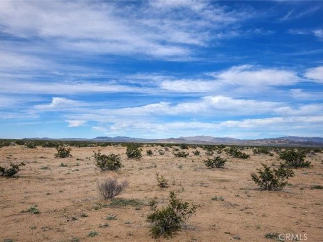 2 Mile, Twentynine Palms, CA 92277