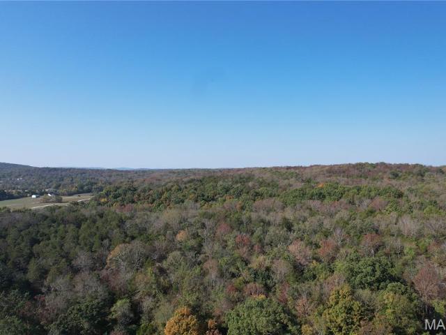 2 Mo 72, Fredericktown, MO 63645 | MLS #25071