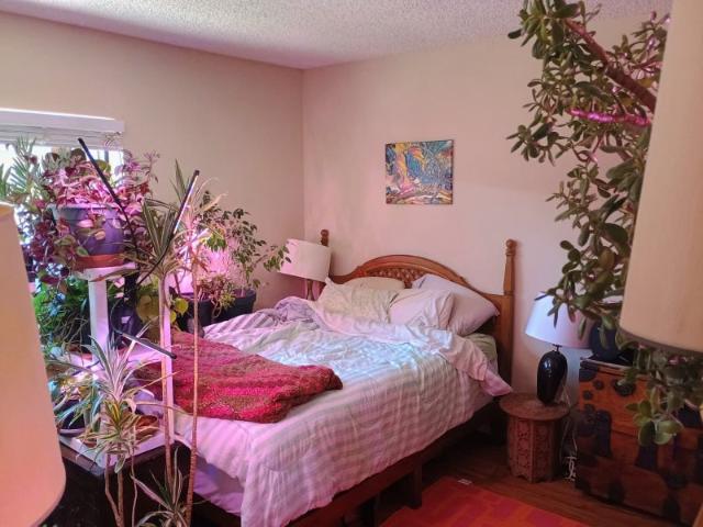 2 month sublet with option to extend, large room