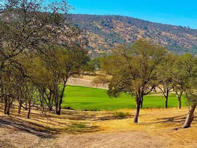 2 Mosswood Ct, Copperopolis, CA 95228 655149554