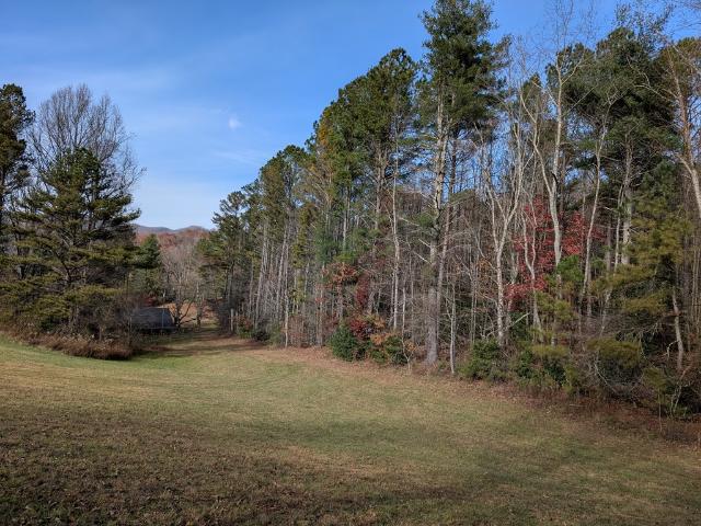 2 Mr Bert Rd, Hiawassee, GA 30546 | MLS #420334 | Compass