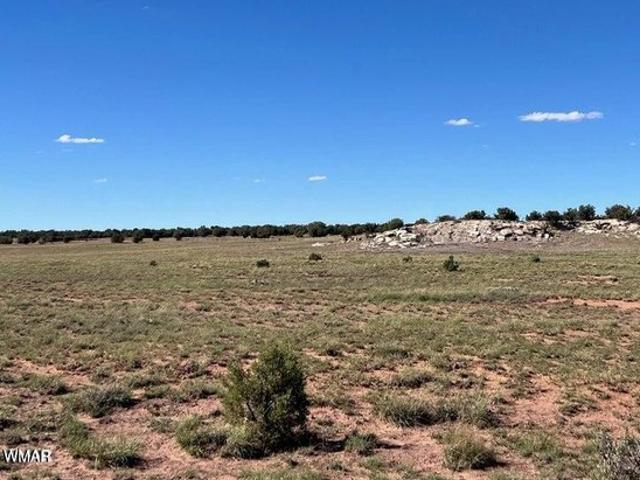 2 N9027, Concho, AZ 85924