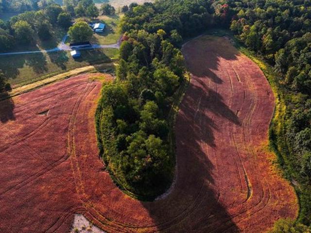 2 N 1000 Rd, Perrysville, IN 47974