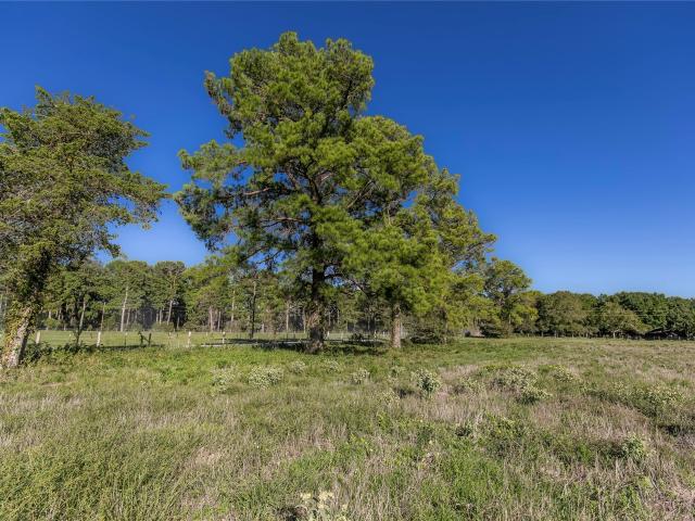 2 Nelius Rd, Bellville, TX 77418 | MLS #18608