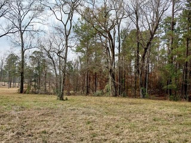 2 Noah Ct, Huntsville, TX 77320