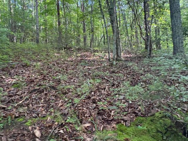 2 Old Furnace Road