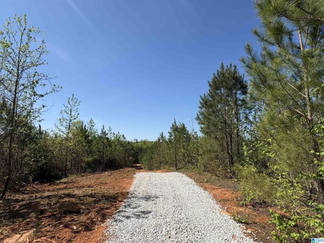 2 A Old Highway 431 # 2 A