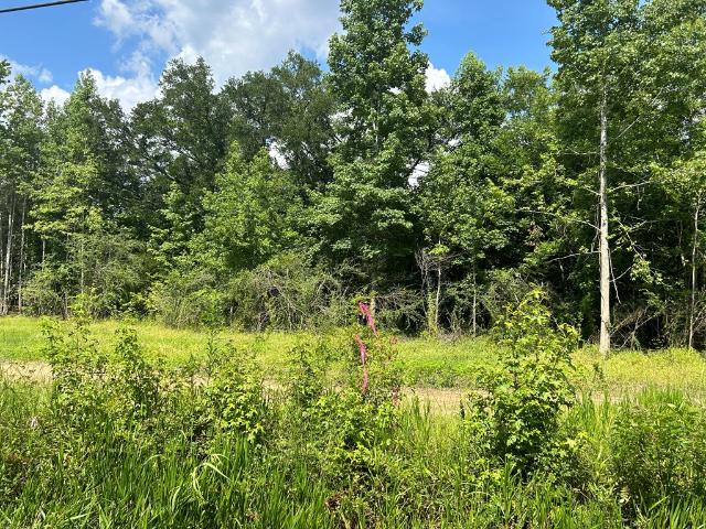 2 + ac Cottonwood Rd Hwy 53