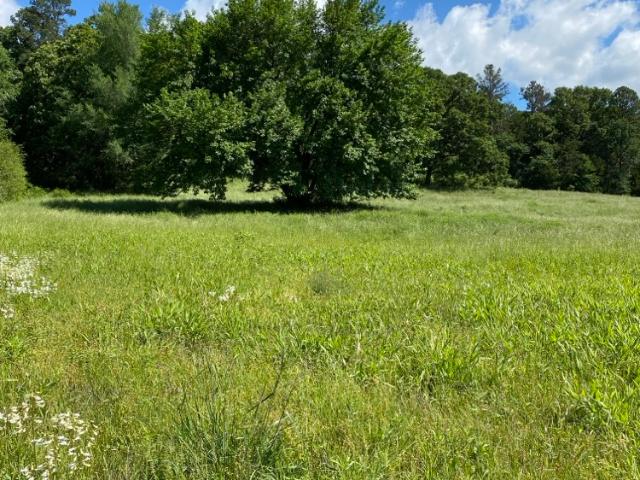 2 Acres on Melton Road
