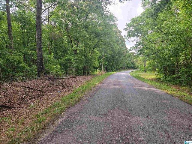 2 Acres County Road 75 Lot 2, Roanoke, AL 36274