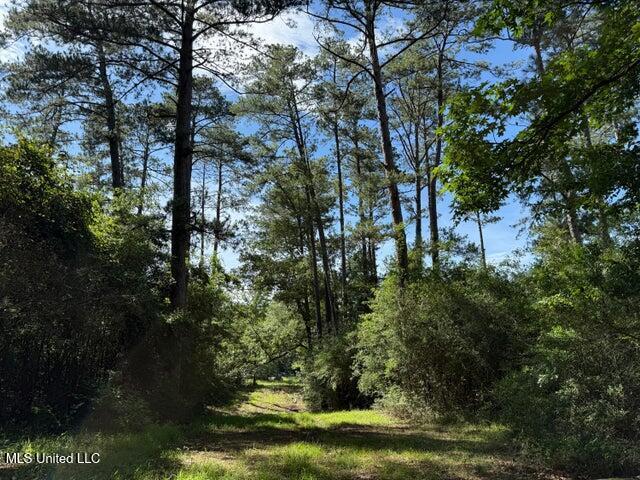 2 Acres Hwy 49