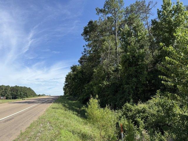 2 Acres Highway 49, Collins, MS 39428