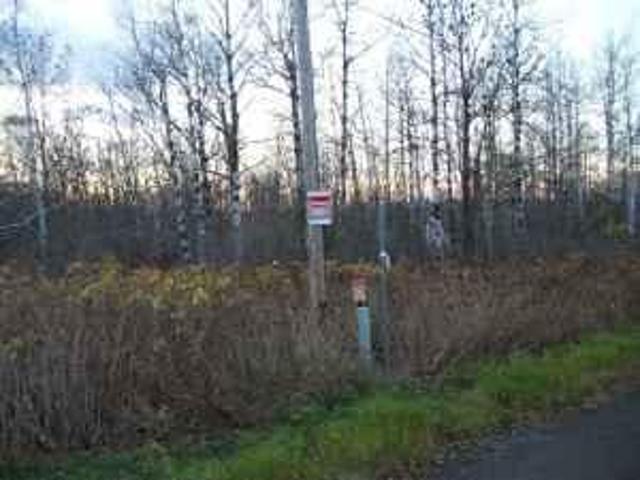 2 Acres Wooded Land @ Corner of Vermillion Road and Elk St. Duluth for sale in Duluth, Minnesota