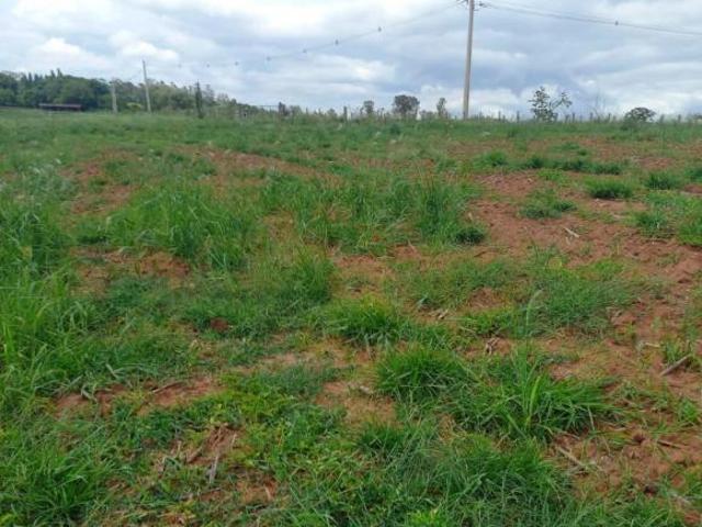 2 alqueires em cesario langer. Não tem casa Lago Rio no fundo Valor 600.000,00 mil
