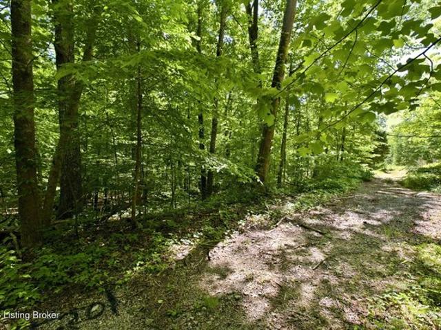 2 Ambassador Shores Dr, Leitchfield, KY 42754