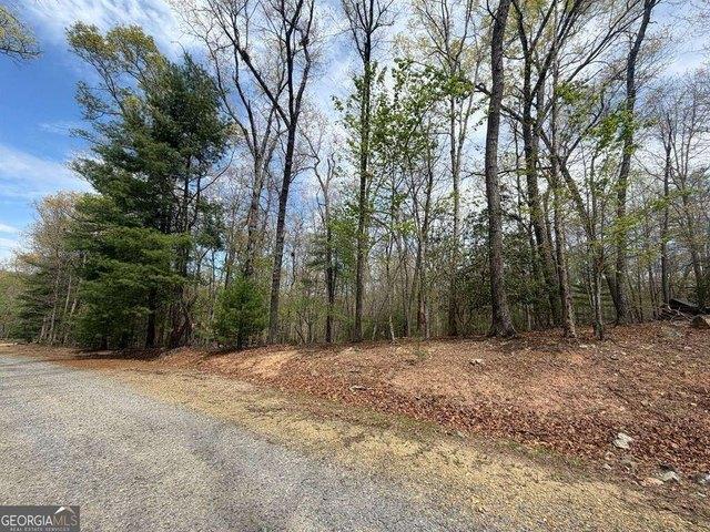 2 Amber Way, Morganton, GA 30560