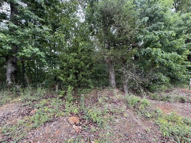 2 Anglin Ridge Rd