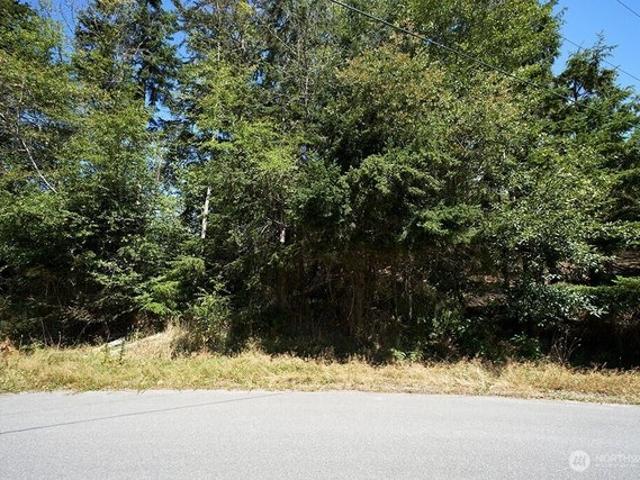2 and 3 Lot Sycamore Rd Lot 3, Coupeville, WA 98239