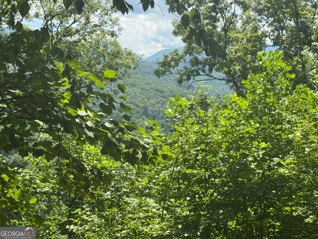 2 and Ivy Ln # 7, Hiawassee, GA 30546