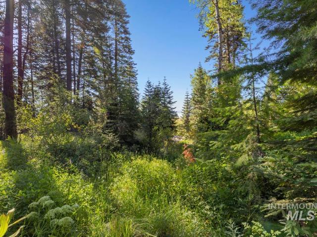 2 Arling Trail