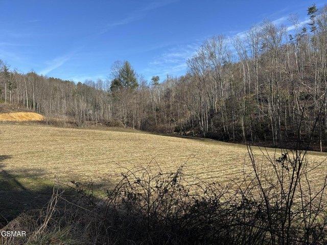 2 Bull Mountain Rd, Del Rio, TN 37727