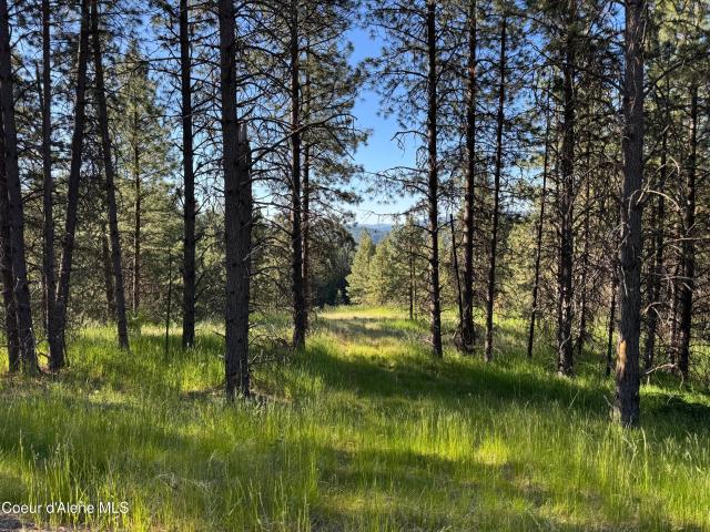 2 S Reynolds Rd, Coeur D'Alene, ID 83814 | MLS #26 602